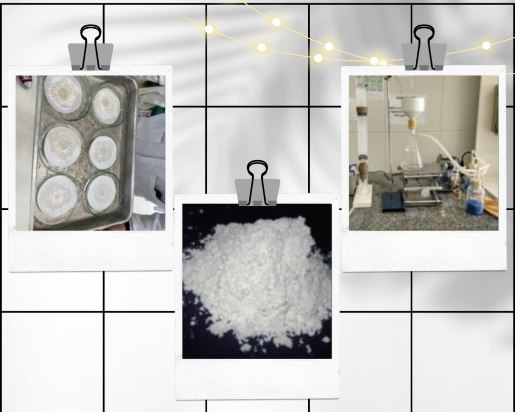 Nessa aula prática tem-se como objetivo Classificar uma amostra de ...