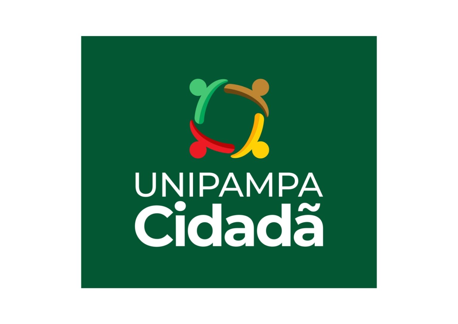 Manual de Aplicação da Identidade Visual do Programa Institucional ...